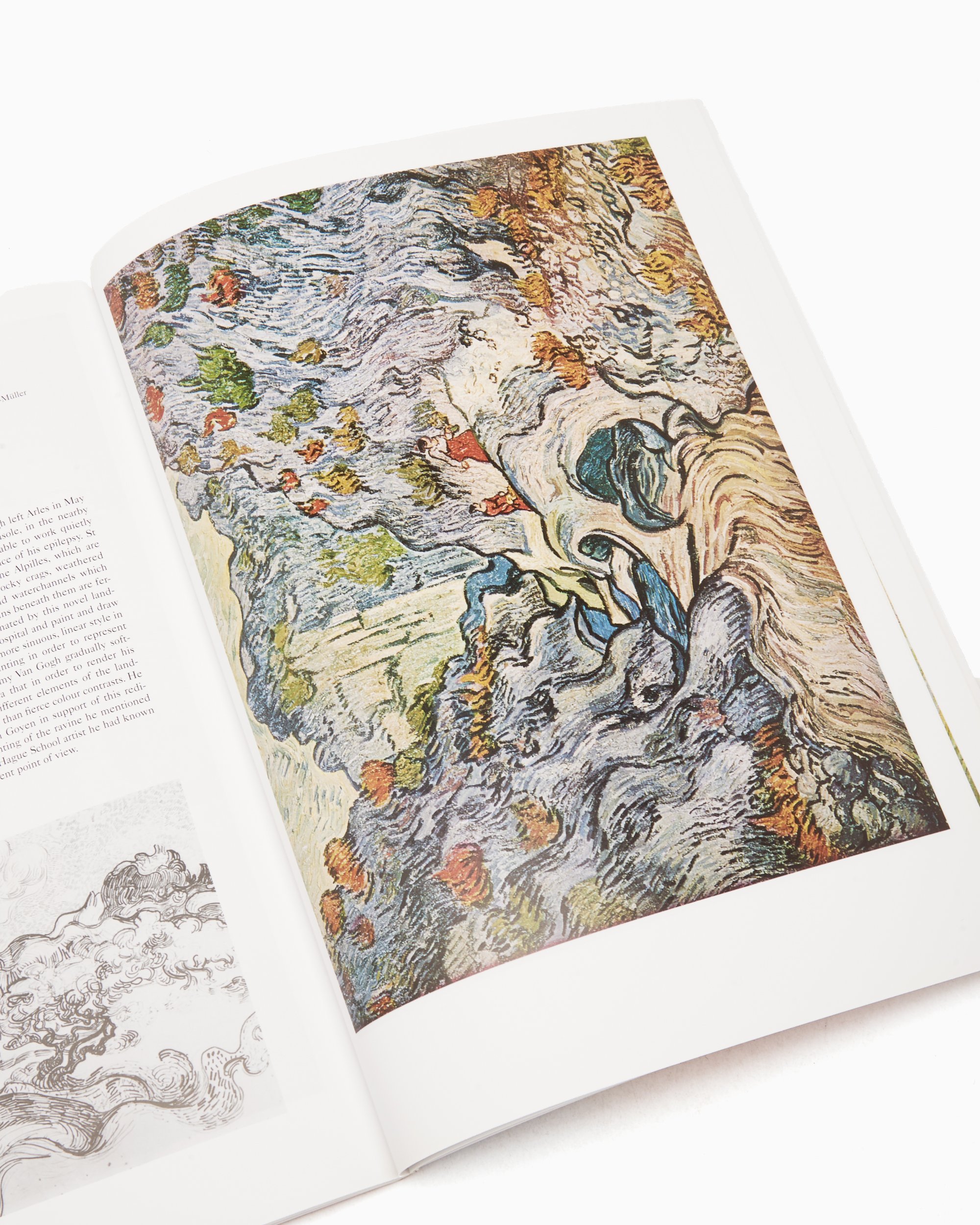 Van Gogh: Colour Library By Wilhelm Uhde Multi 9780714827247| Comprar ...